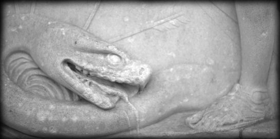 SNAKES & PARASITES: THE REALITY REVISION OF ACCELERATED DECREPITUDE ...